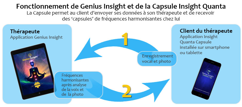 Application Insight Quanta Capsule